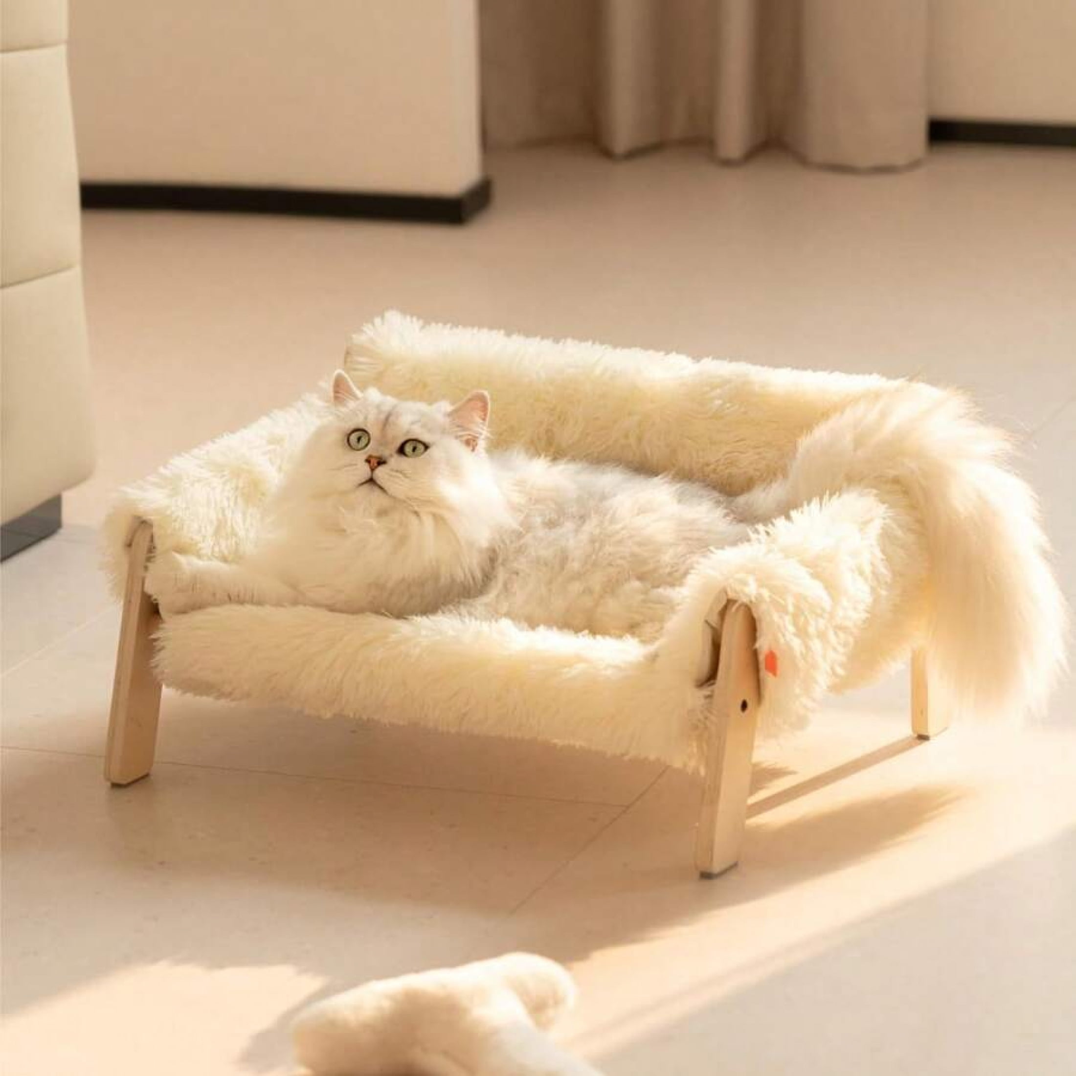 Large Cat Couch Bed, Sturdy Wooden Legs with Raised Design, Soft Fabric ...