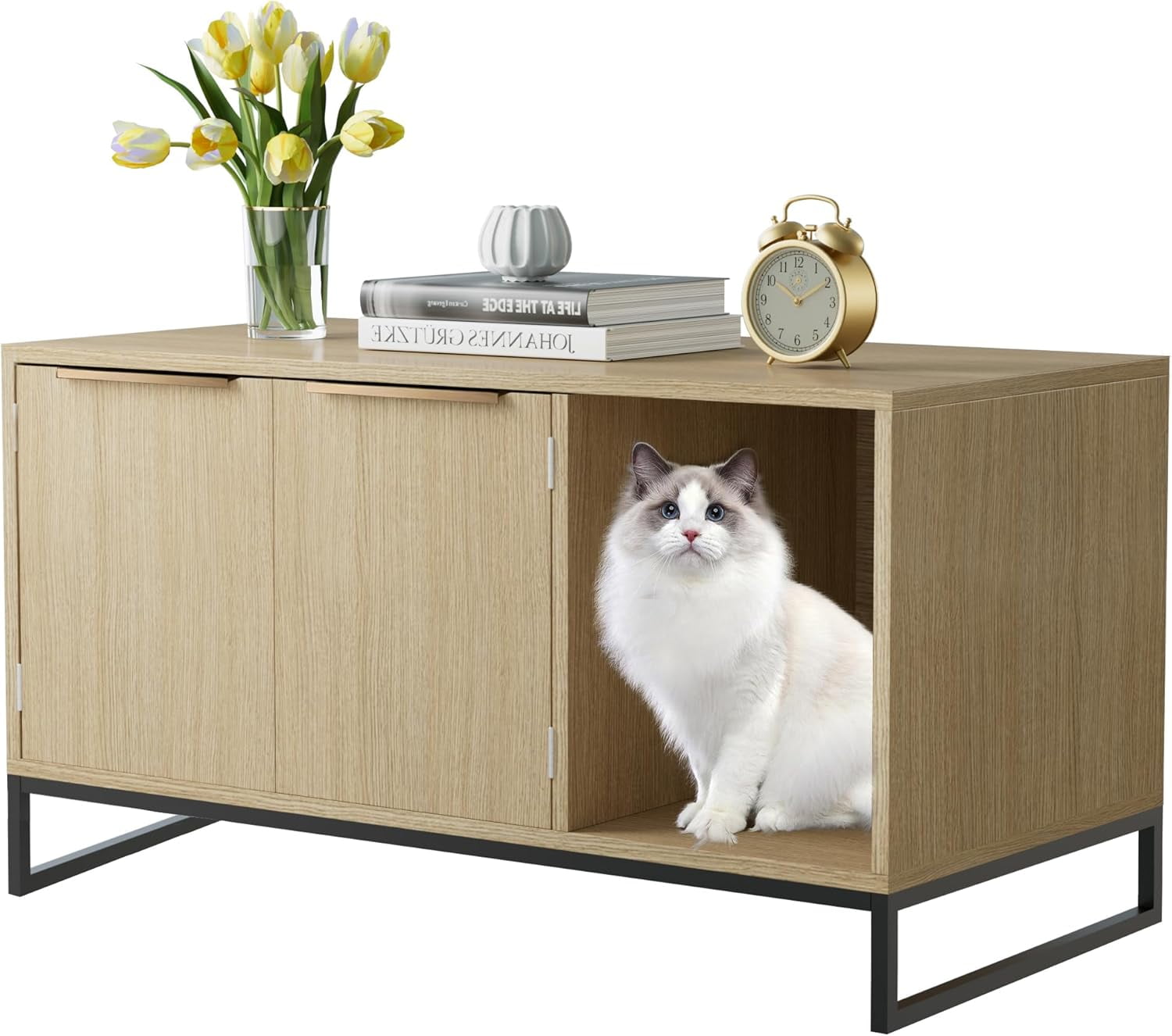 Large Cat Litter Box Enclosure Furniture, Hidden Cat Litter Box ...