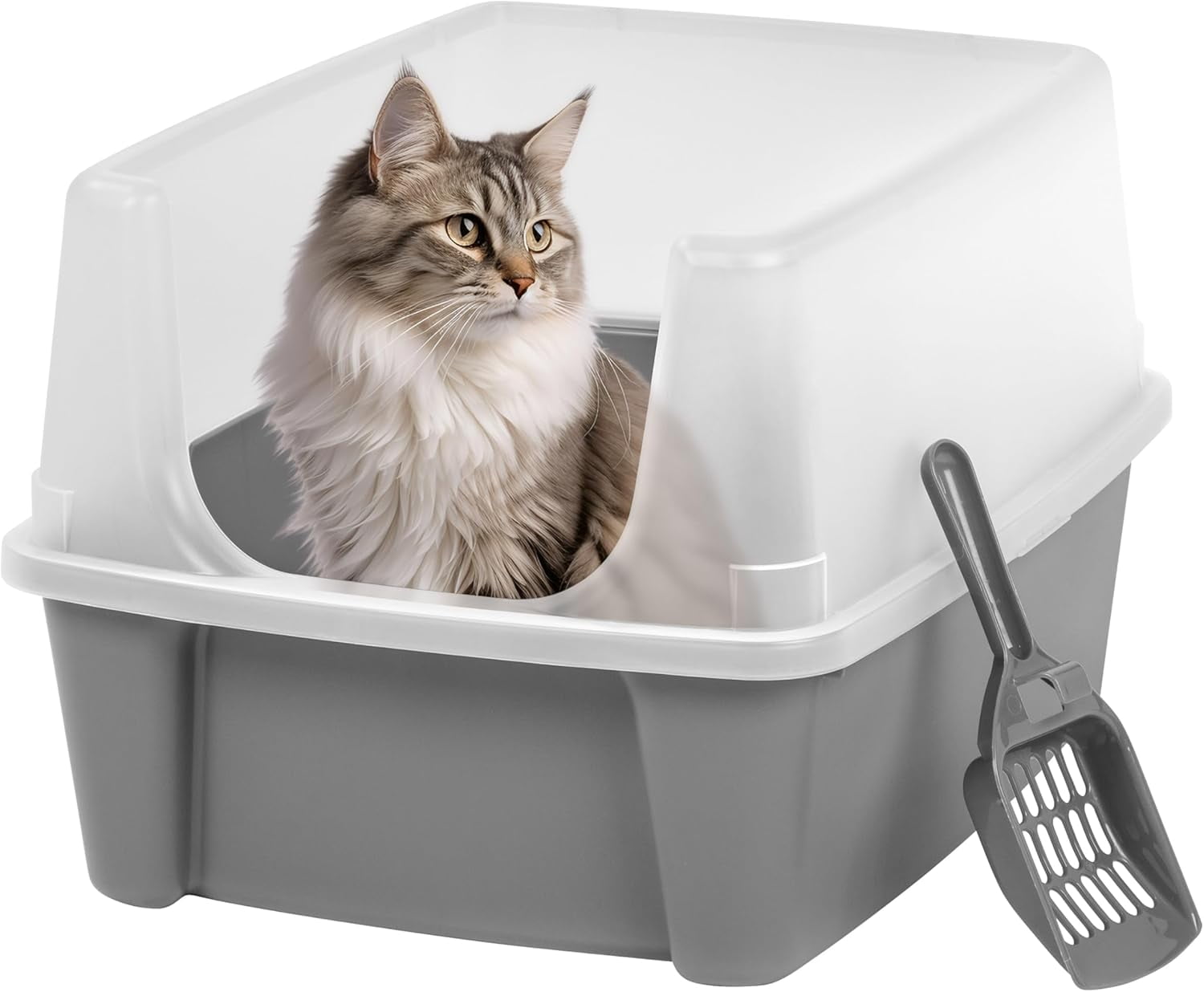 Large open litter box with high sides, litter-resistant baffle and ...