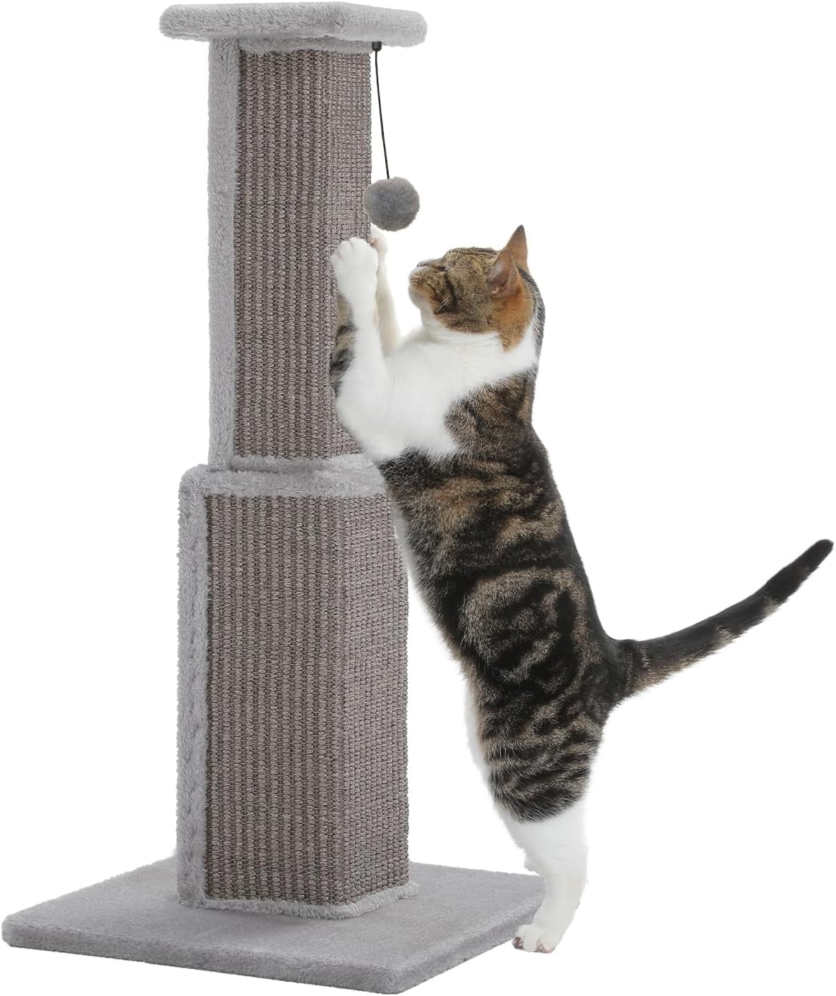 Large Cat Scratching Post 32” Tall Scratching Post for Indoor Cats ...