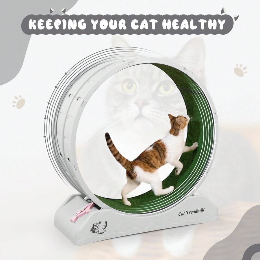 Large Cat Treadmill, Small Animal Exercise Wheel With Locking Mechanism ...