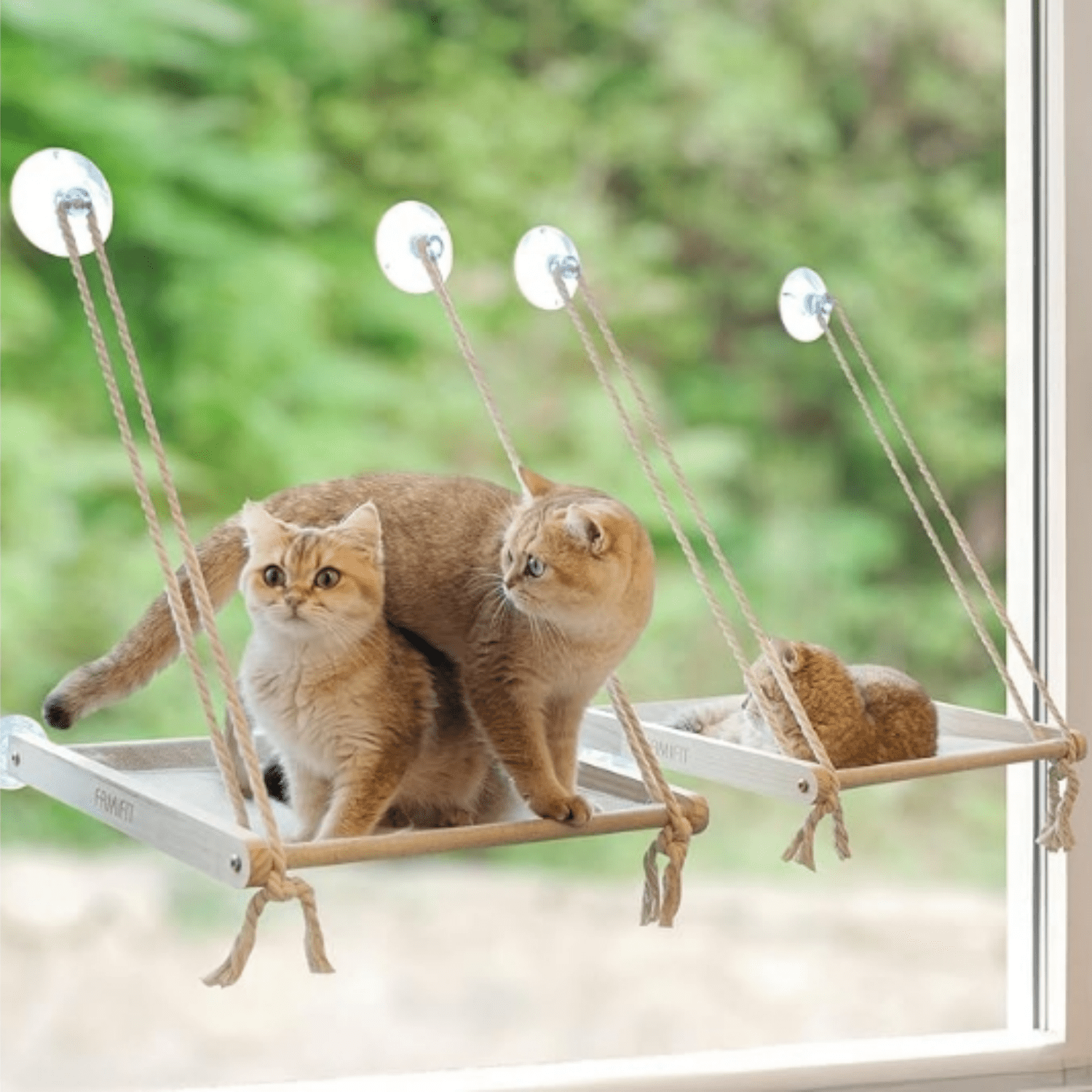 Large Cat Window Perch, Easy to Assemble Cat Hammock for Window Indoor ...