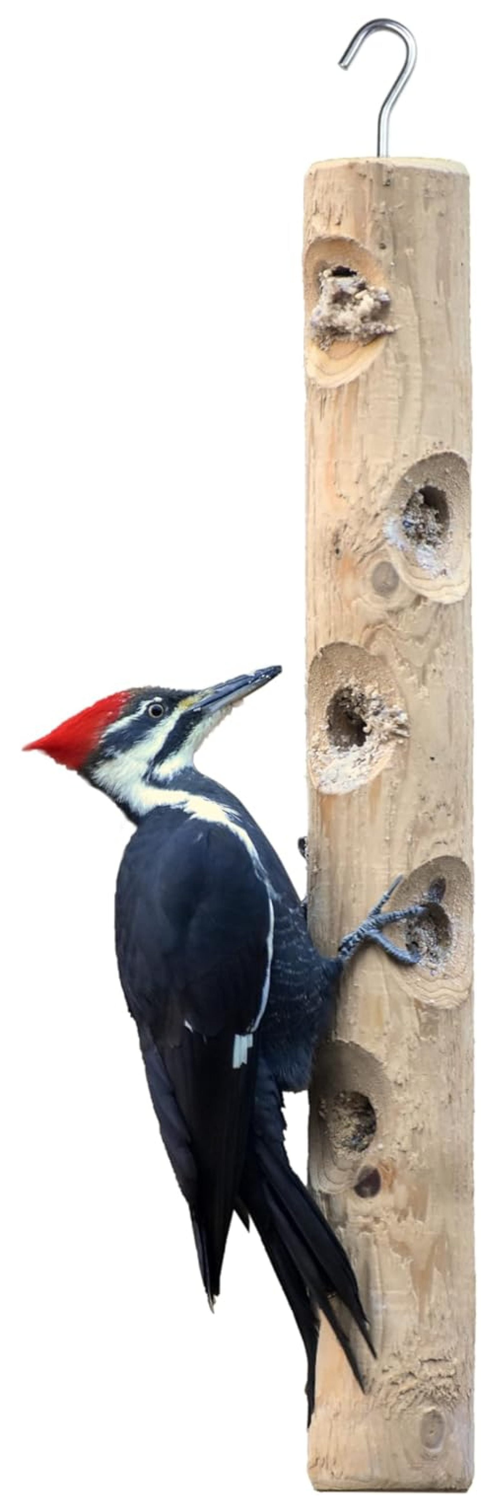Large Cedar Suet Log Feeder for and Chickadees - Walmart.com