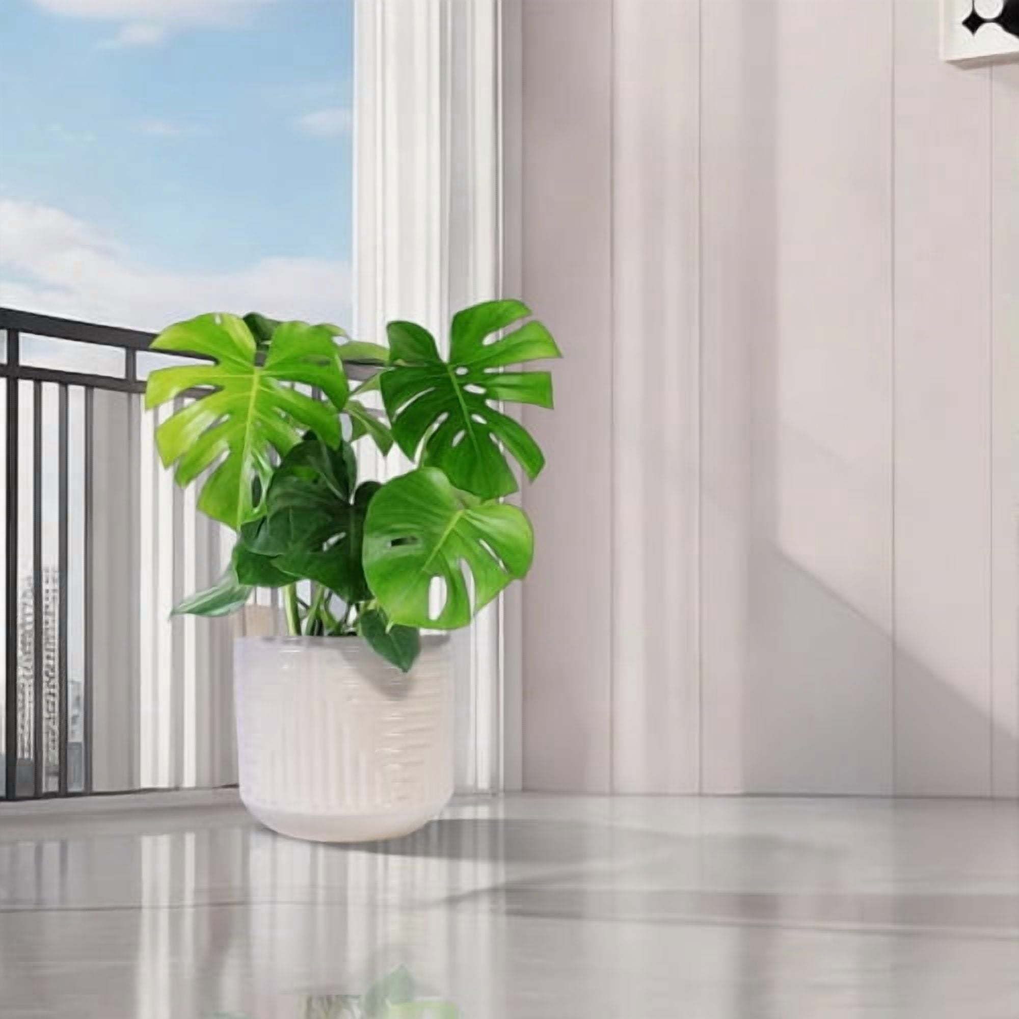 Large Ceramic Planter, 16.15 Inch White Modern Flowerpot with Drainage ...