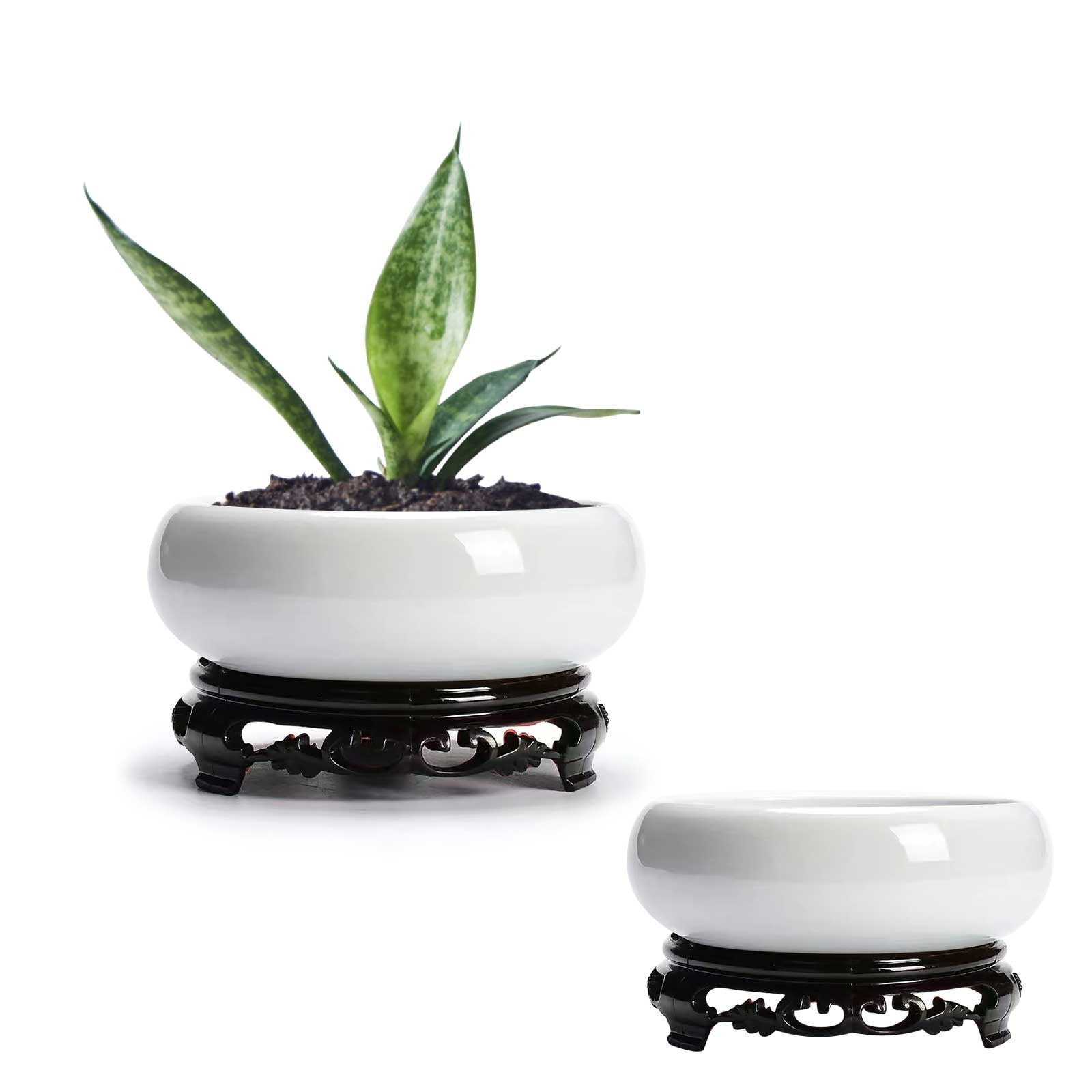 Large Ceramic Water Lily Bowl, Succulent Pots with Display Base Stand ...