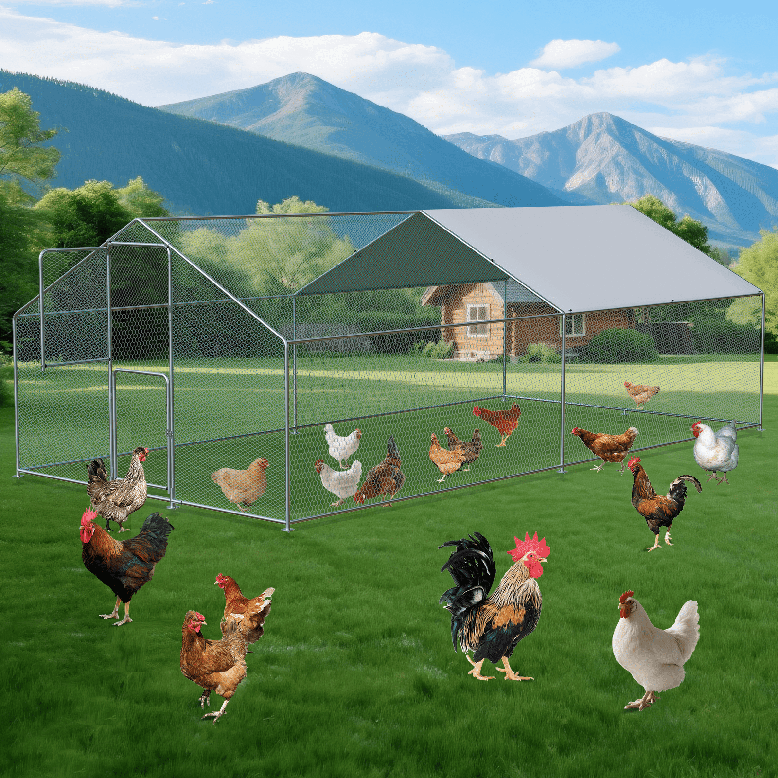 Large Chicken Coop, Chicken Coops for 20 Chickens, Chicken Runs for ...