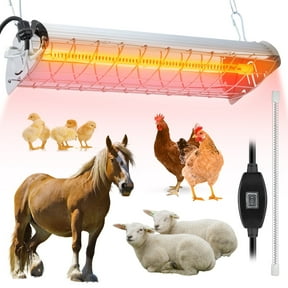 Chick Heat Lamps in Chicken Supplies - Walmart.com
