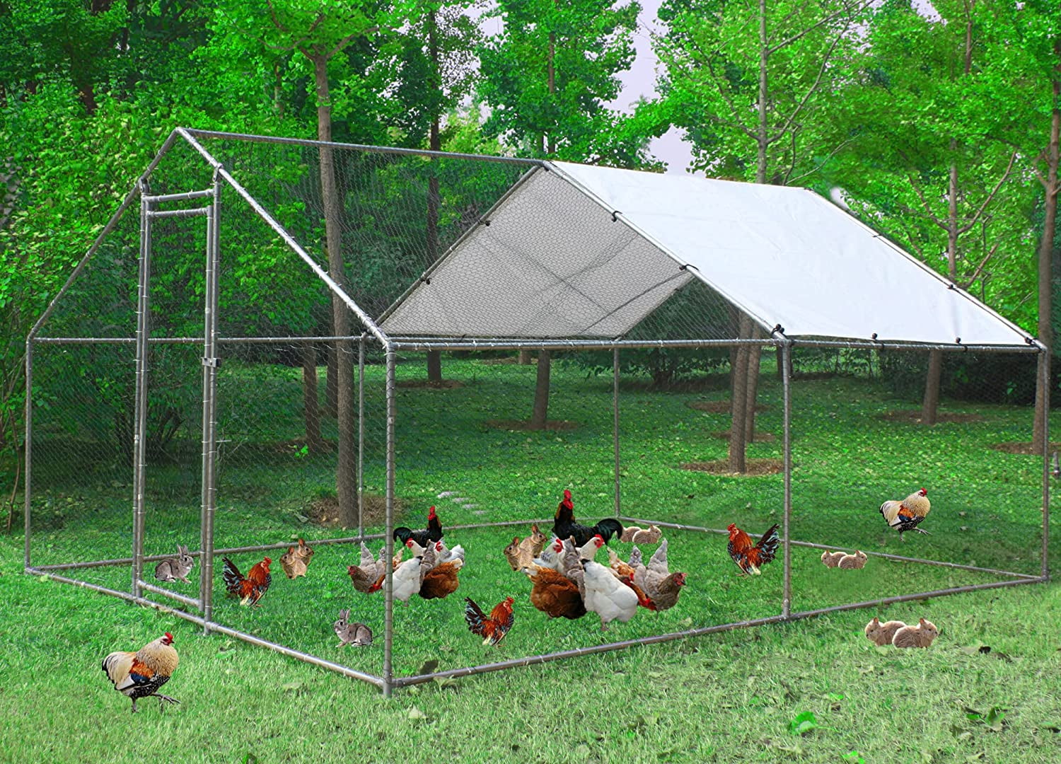 Large Chicken Coop Metal Chicken Runs for Yard, 20' Walk in Chicken ...