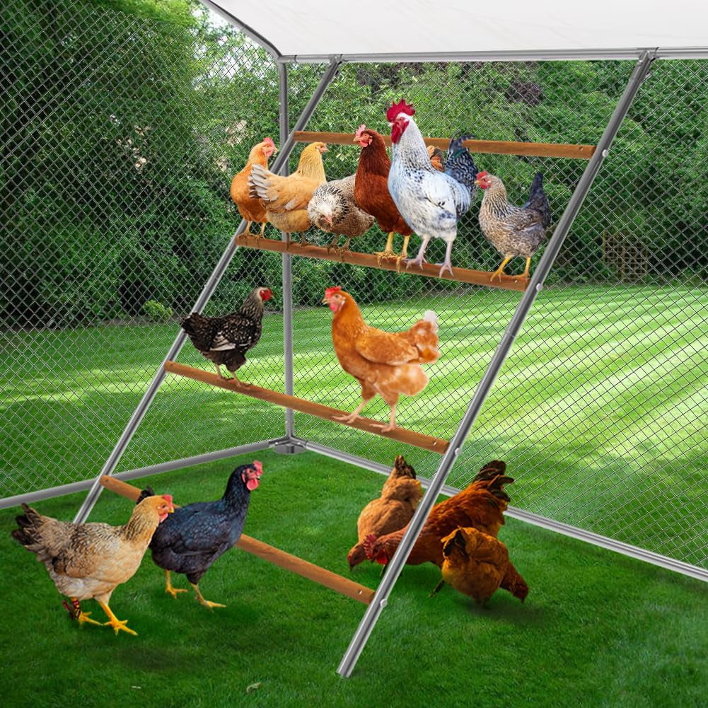 Large Chicken Perch for Coop Wooden Roosting Bar Tranning Perch for Hen ...