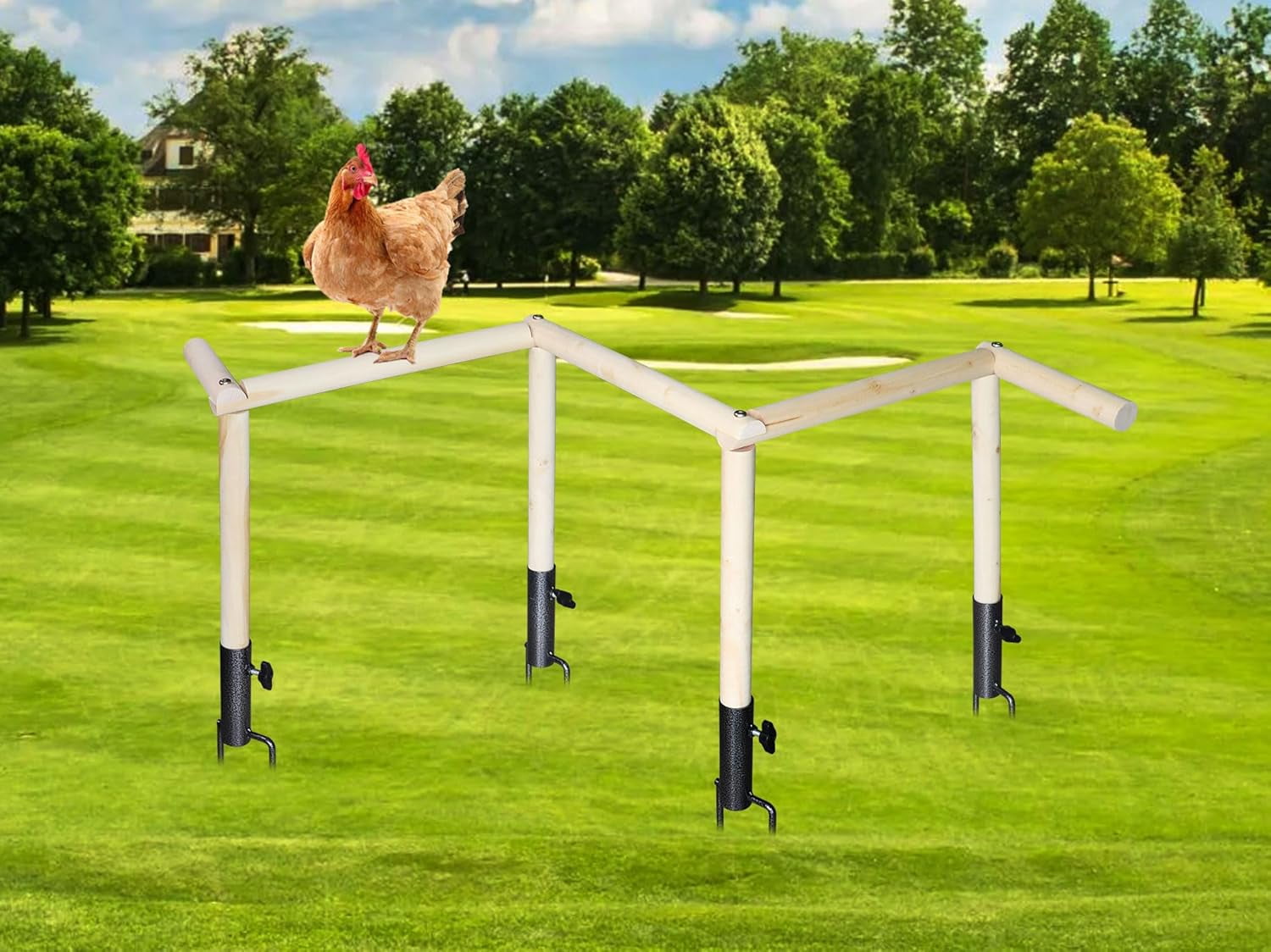 Large Chicken Perch Toy for Coop, Wooden Chick Perch Stand with Metal ...