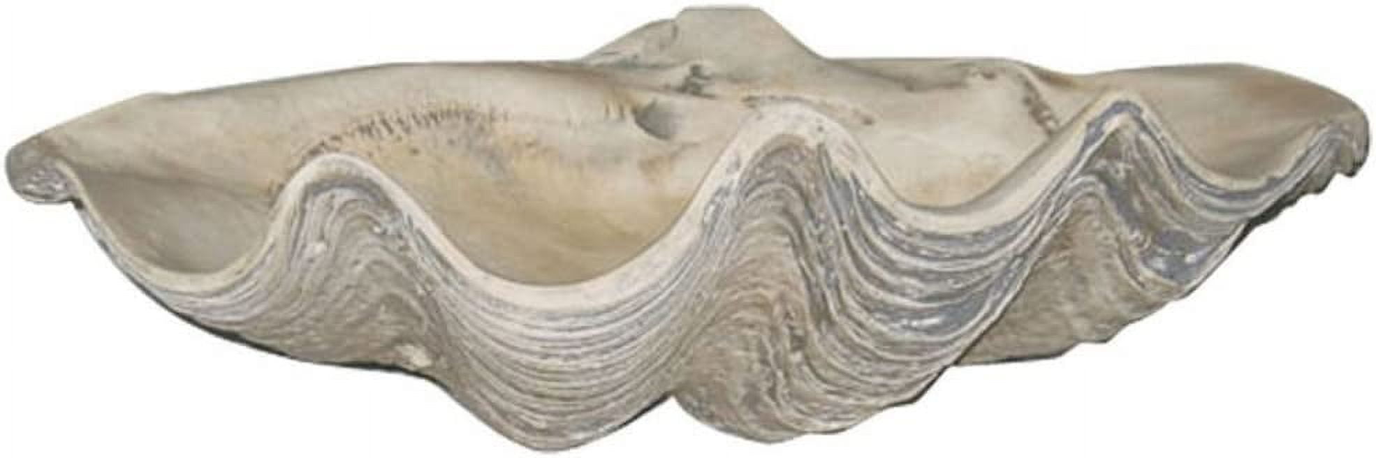 Large Clam Shell Sculpture - Walmart.com