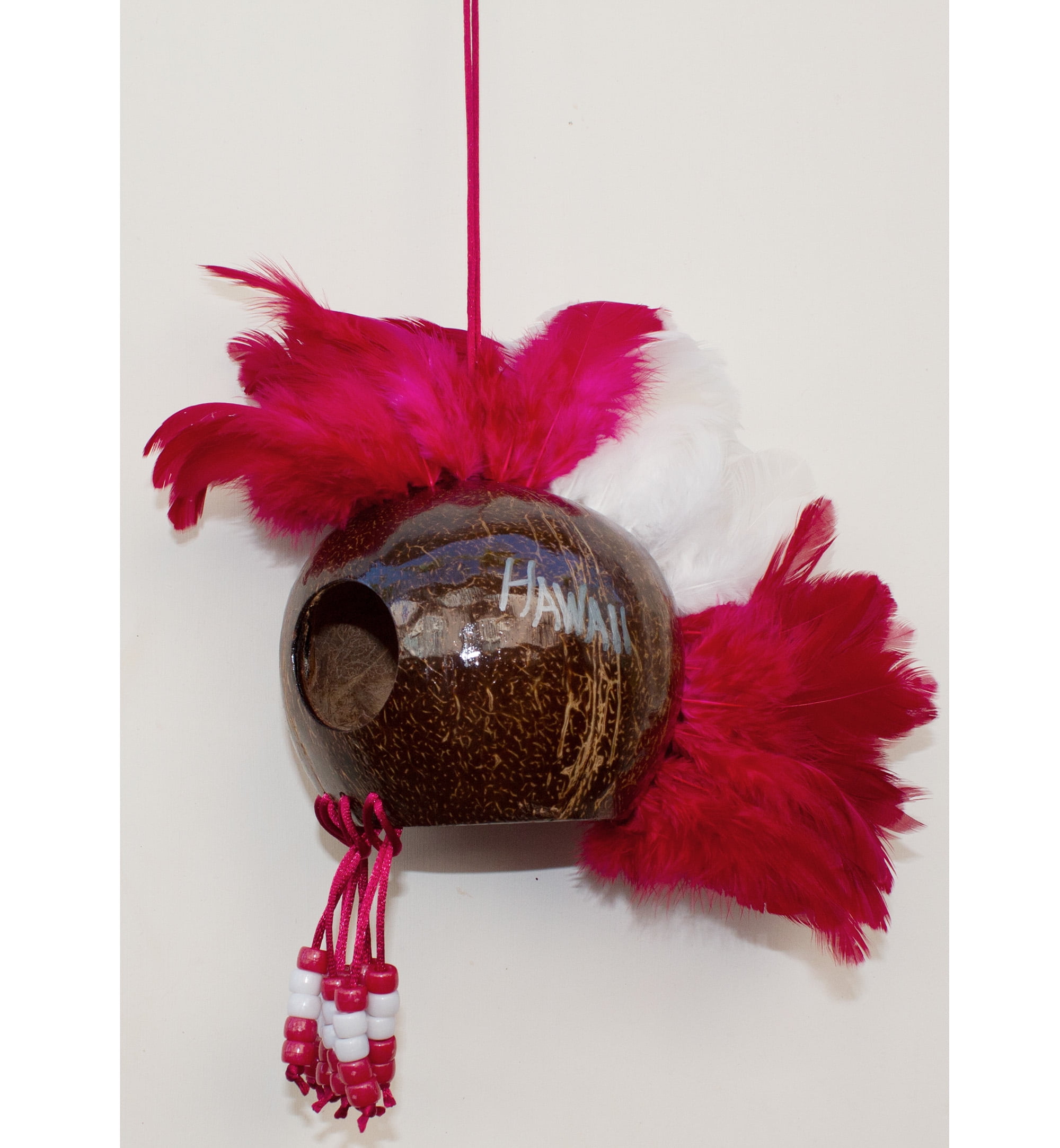 Large Coconut Shell Hawaiian Warrior Ikaika Feather Makaki'i (Red ...