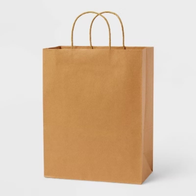 Large Cub Bag Natural Kraft - Spritz - Walmart.com