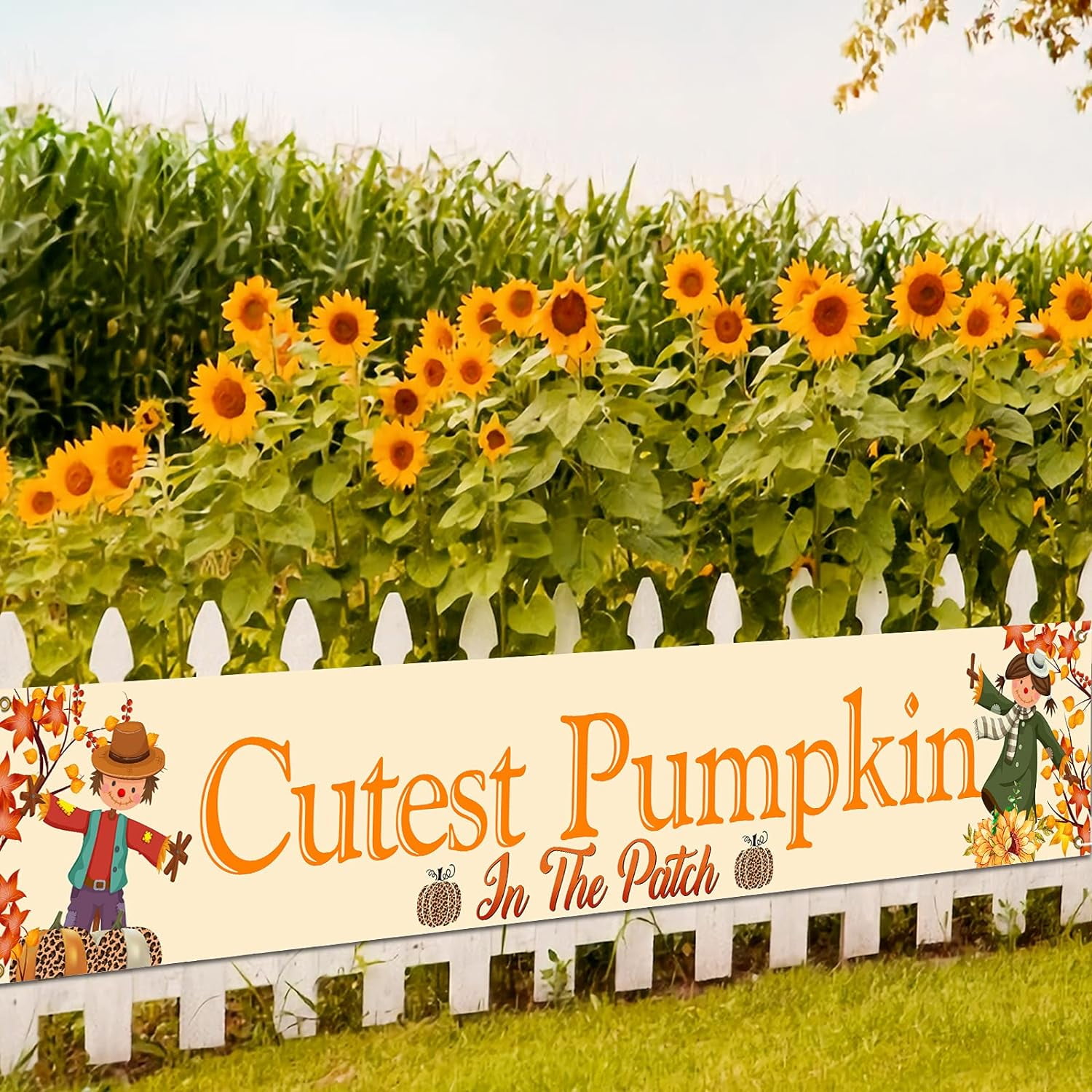 Large Cutest Pumpkin In The Patch Banner Backdrop,Autumn Thanksgiving ...