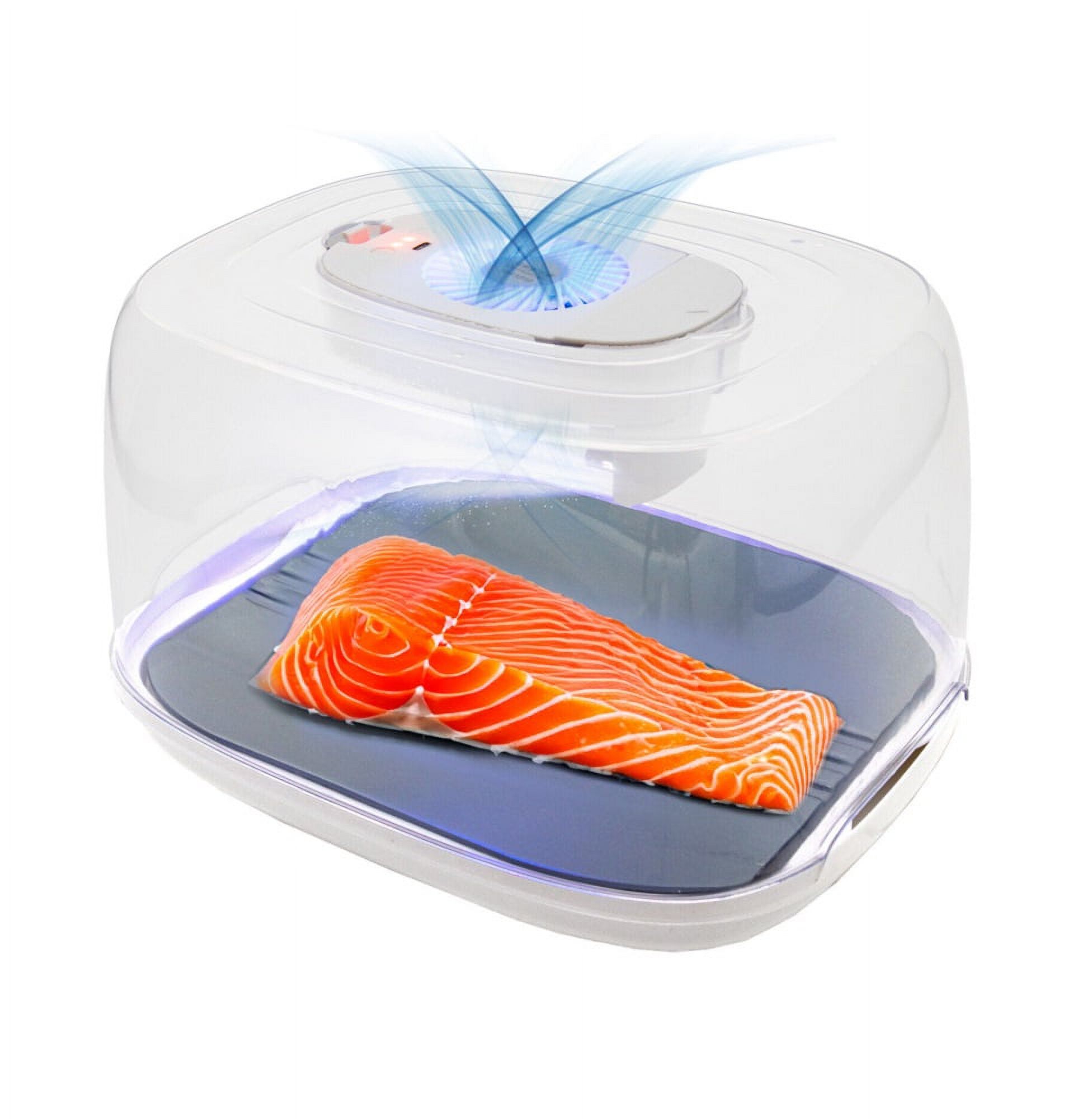 Large Defrosting Tray Box 3in1 Quick Meat Thawing with UV Light Fan and ...