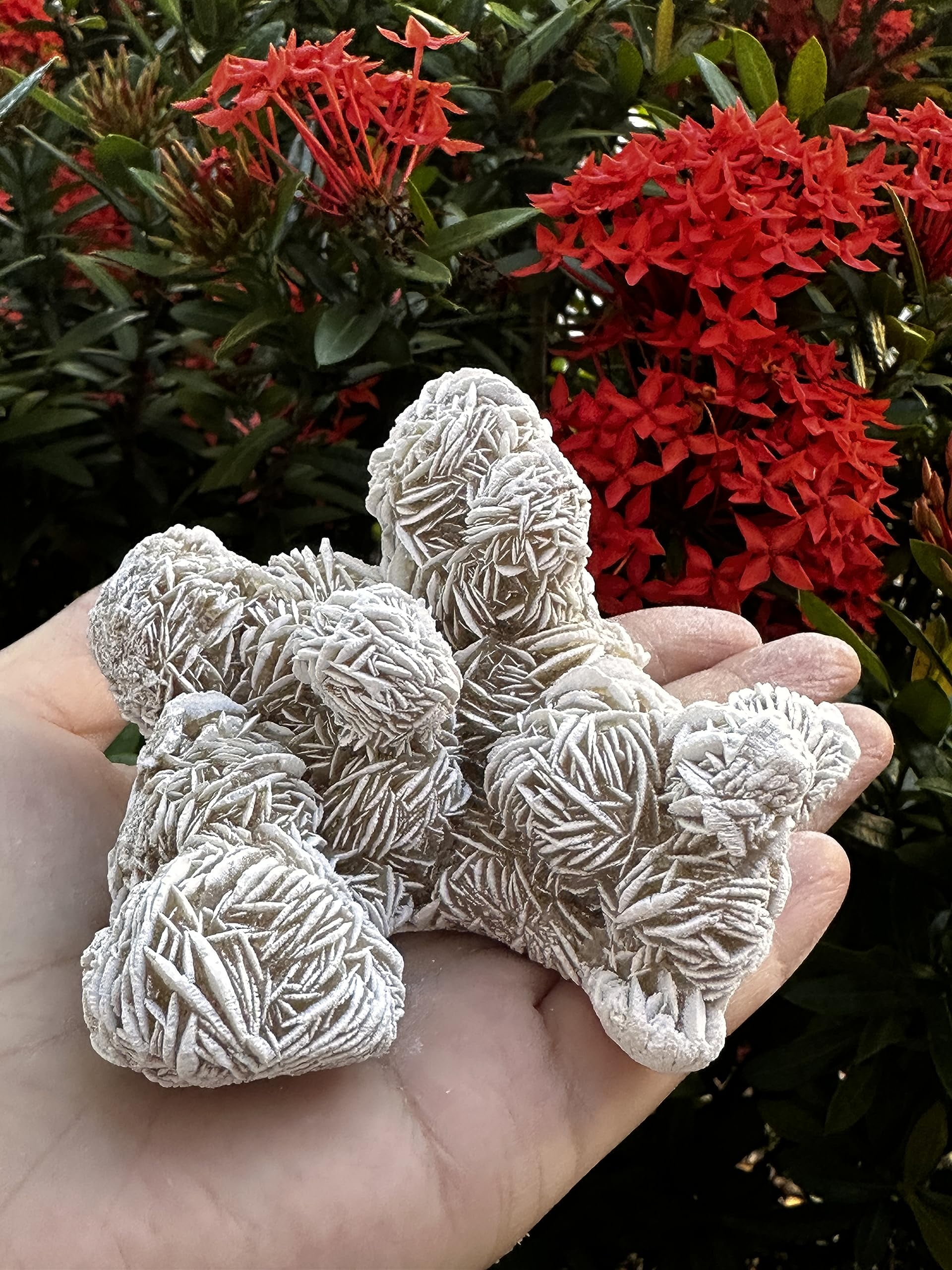 Large Desert Rose Cluster, Natural Desert Rose Selenite Stones, Desert ...