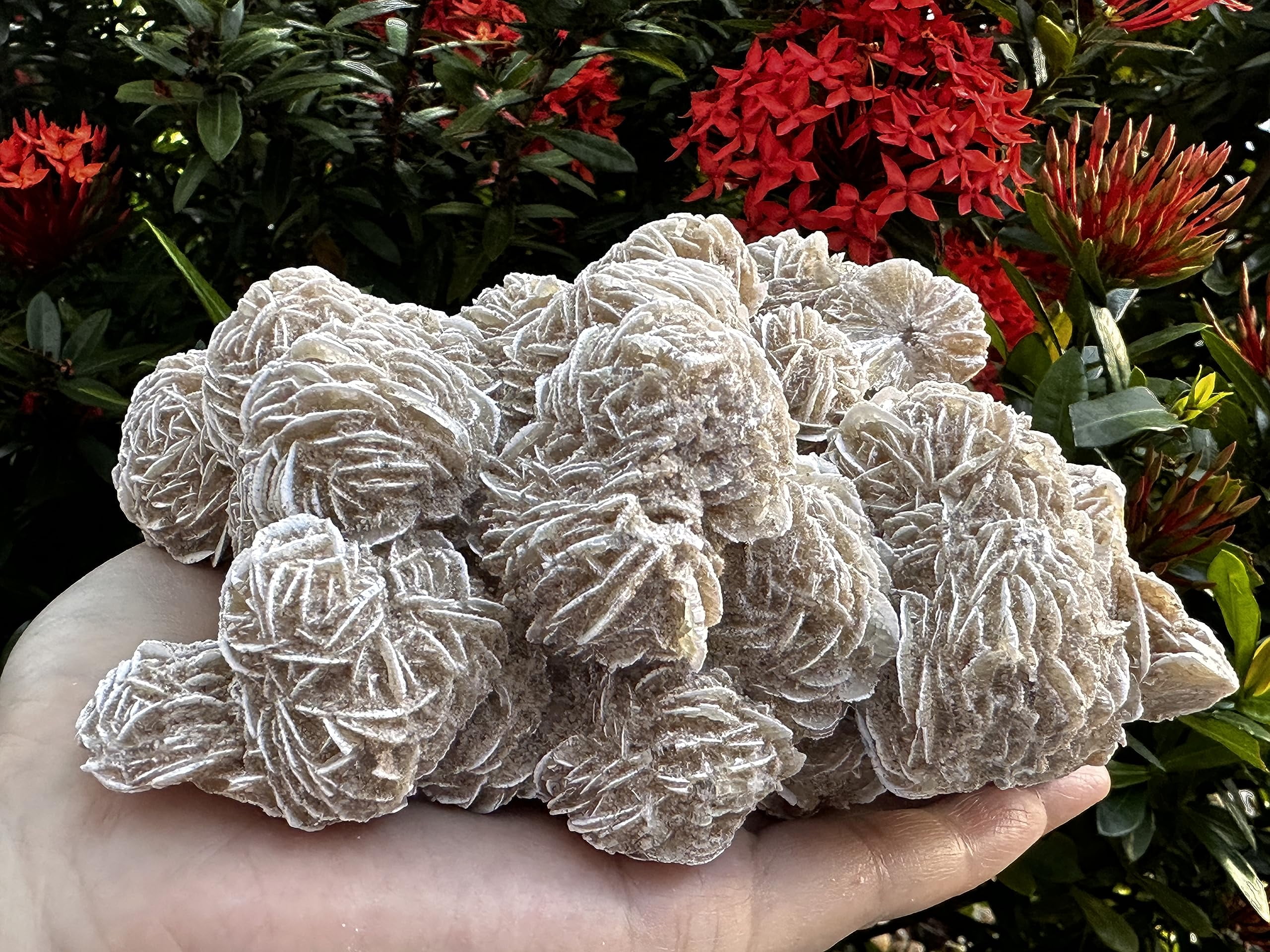 Large Desert Rose Cluster, Natural Desert Rose Selenite Stones, Desert ...
