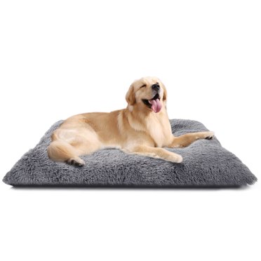 Majestic Pet Solid Color Rectangular Pillow Dog Bed Machine Washable ...