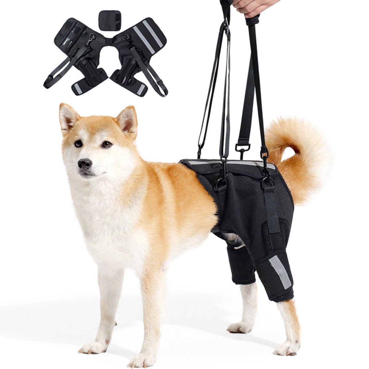 Large Dog Dog Carrier With Velcro And Reflective Strips For Back Leg ...