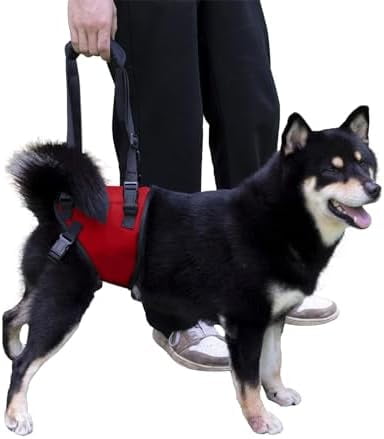 Large Dog Rear Leg Support Harness Designed for Dogs with hind Leg ...