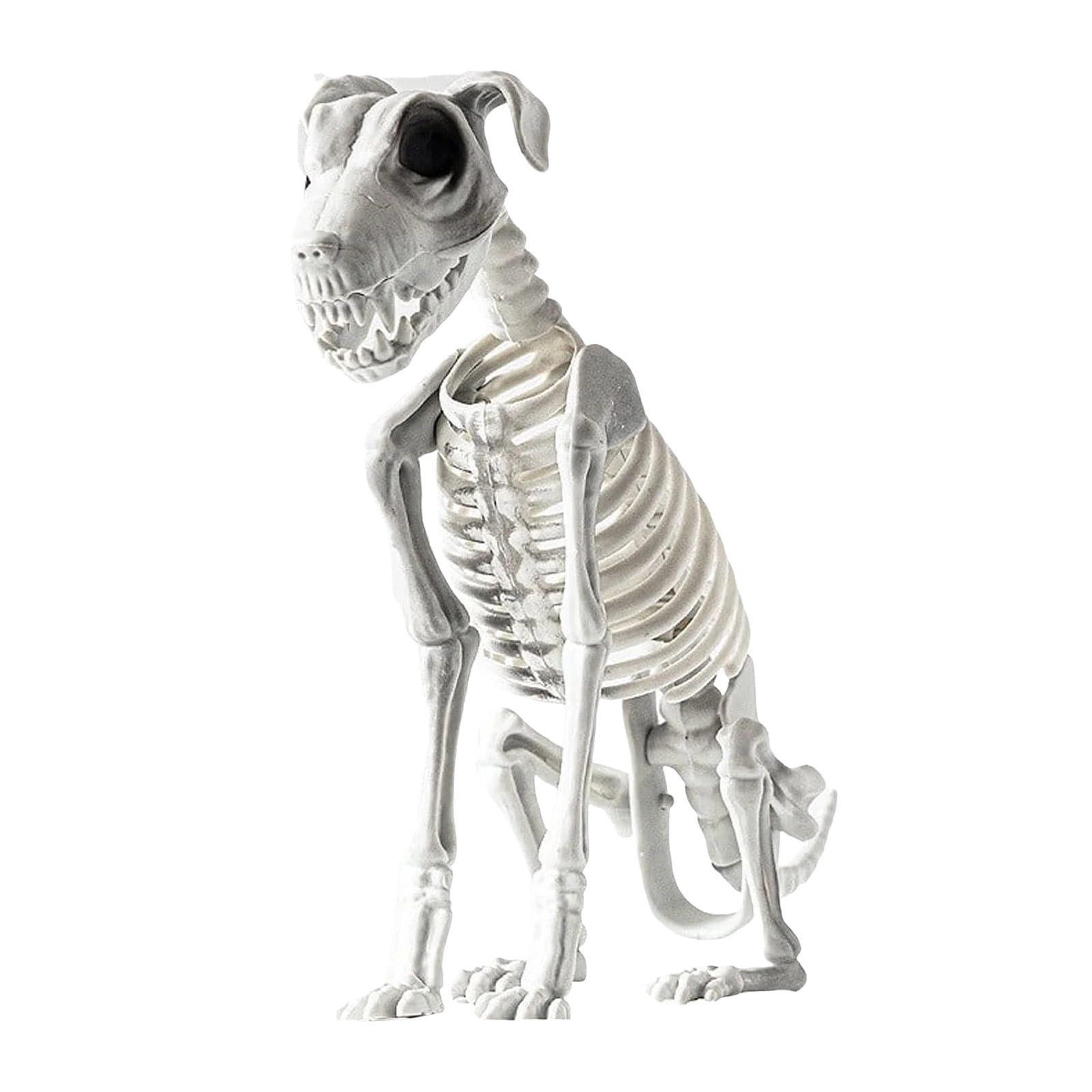 Large Dog Skeleton Halloween Decor - 17 Inch Indoor/Outdoor Puppy Bones ...