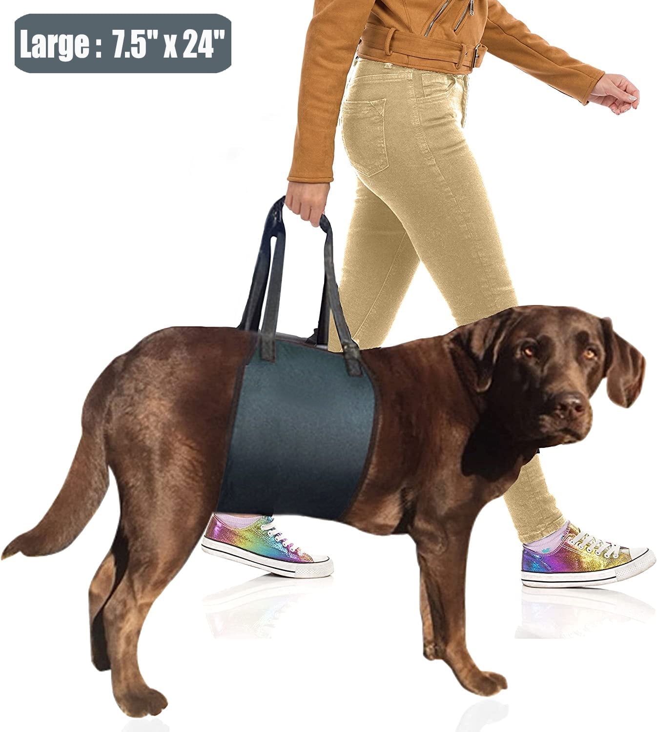 Dinosam Dog Lift Harness, Sling for Large Dogs Hind Leg Support, Senior ...