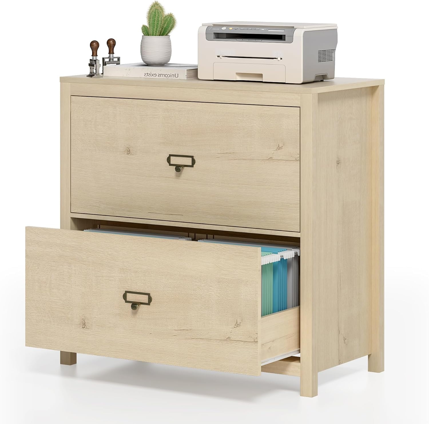 Large File Cabinet with 2 Drawers, Modern Wood Vertical File Cabinet ...