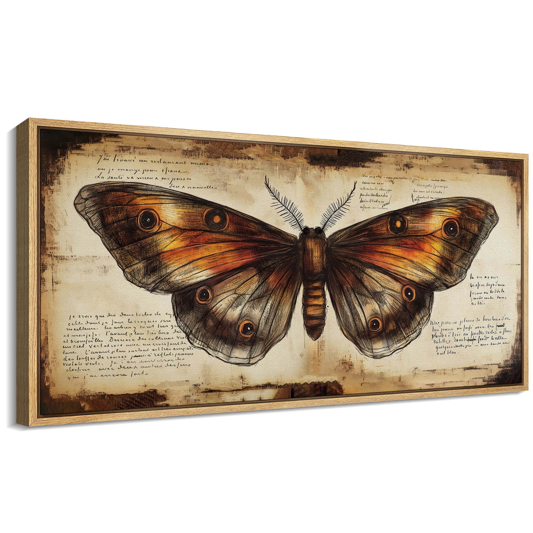 Large Framed Canvas Print Rustic Moth Artwork with Sepia-Toned ...
