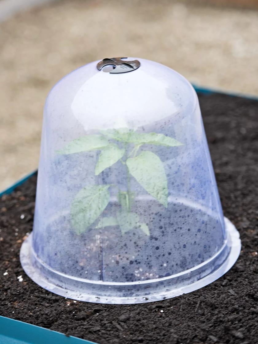 Large Garden Cloches Set of 3 - Walmart.com