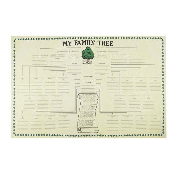 Large Genealogy Family History Tree Genetic Ancestry Chart Big Poster ...