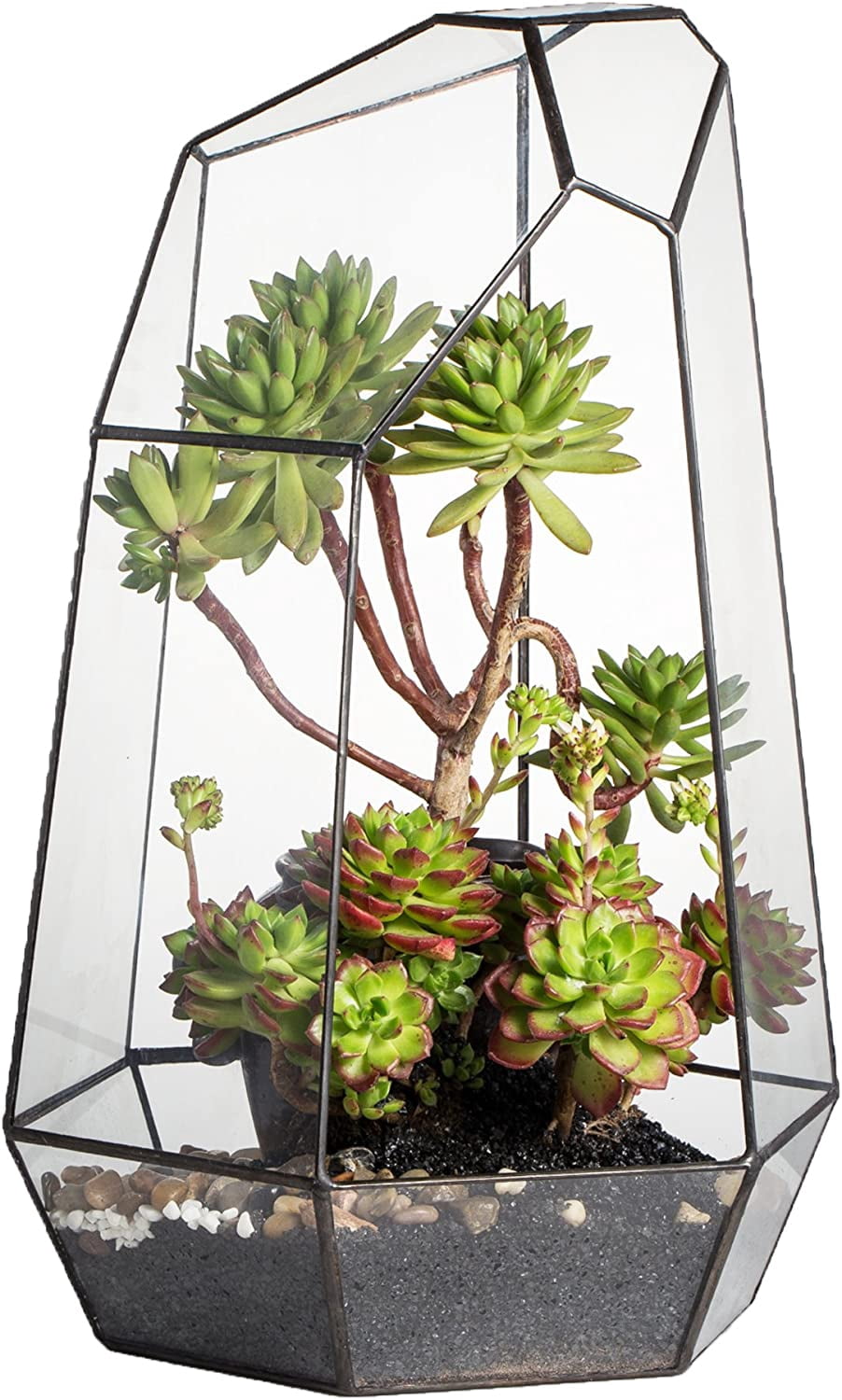 Large Geometric Terrarium - 16 Inches Tall Irregular Open Glass ...