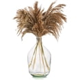 Large Glass Tall Floor Vase 15 Inch Clear Round Belly Demijohn ...