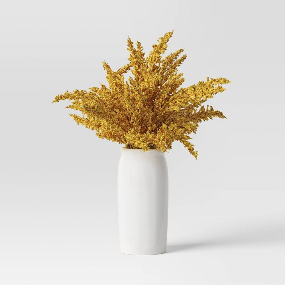 Goldenrod Plant