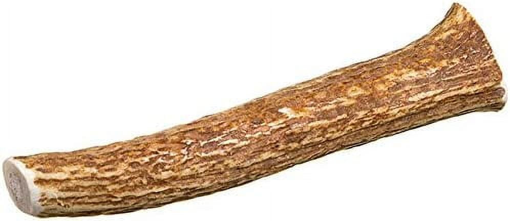 CZ Grain Large Grade A Deer Antler Bone for Dogs, Naturally Shed ...