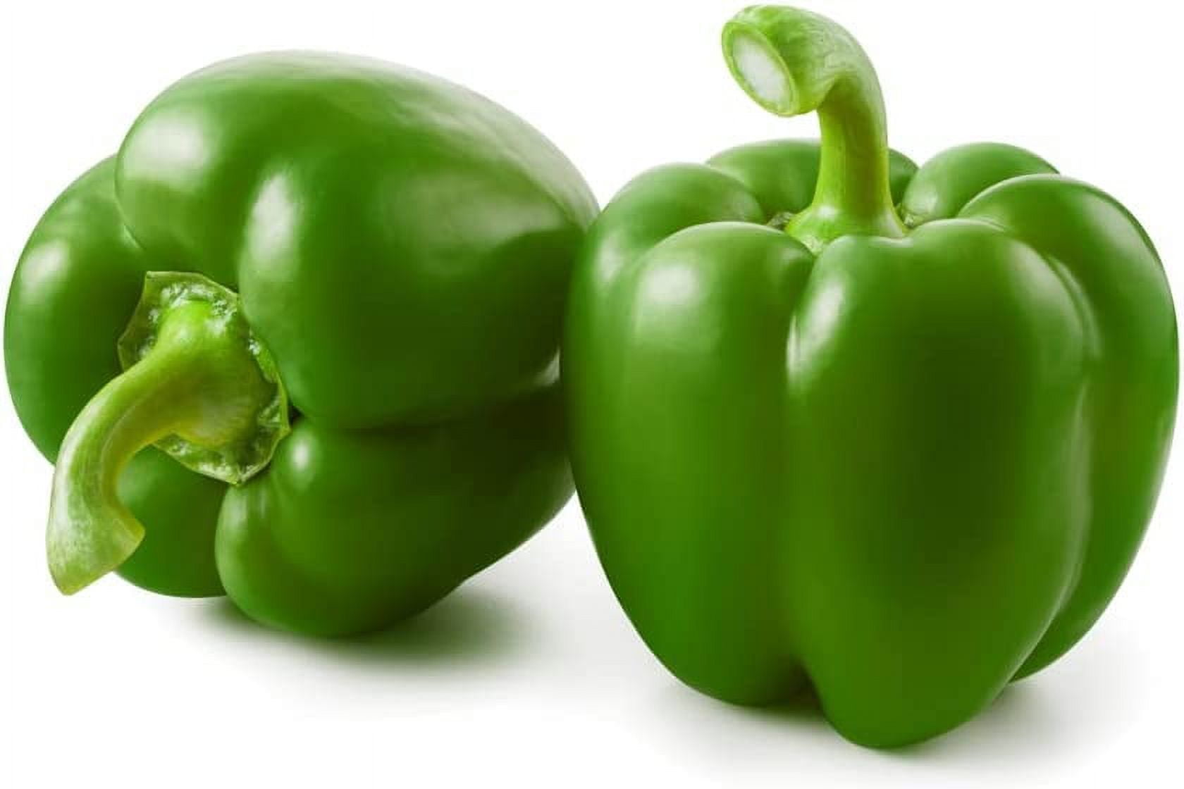 Large Green Pepper Seeds to Plant - 100+ Seeds - Versatile Pepper for ...