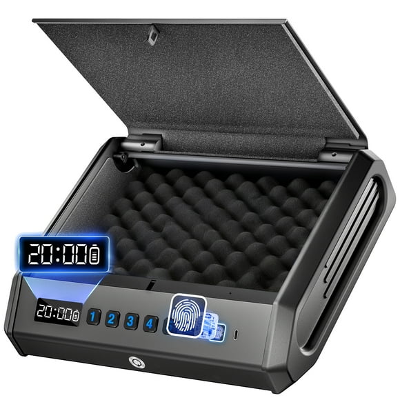 Lock Box For Handguns