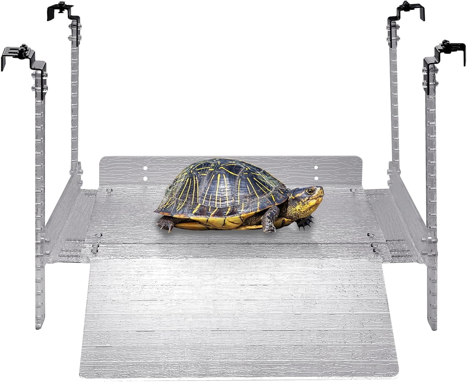 Large Hanging Turtle Ramp, Acrylic Transparent Tortoise Resting Terrace ...