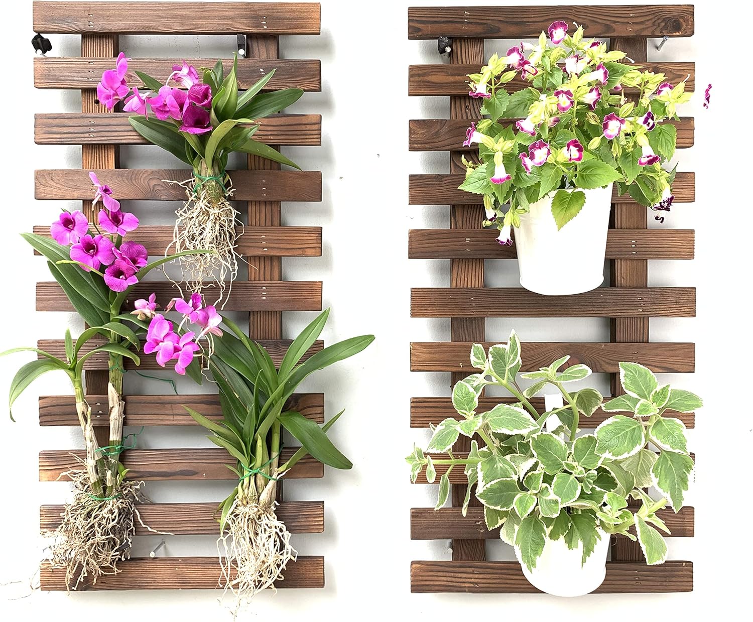 Large Hanging Wall Planters for Indoor Plants - 5 Pack Wooden Wall ...