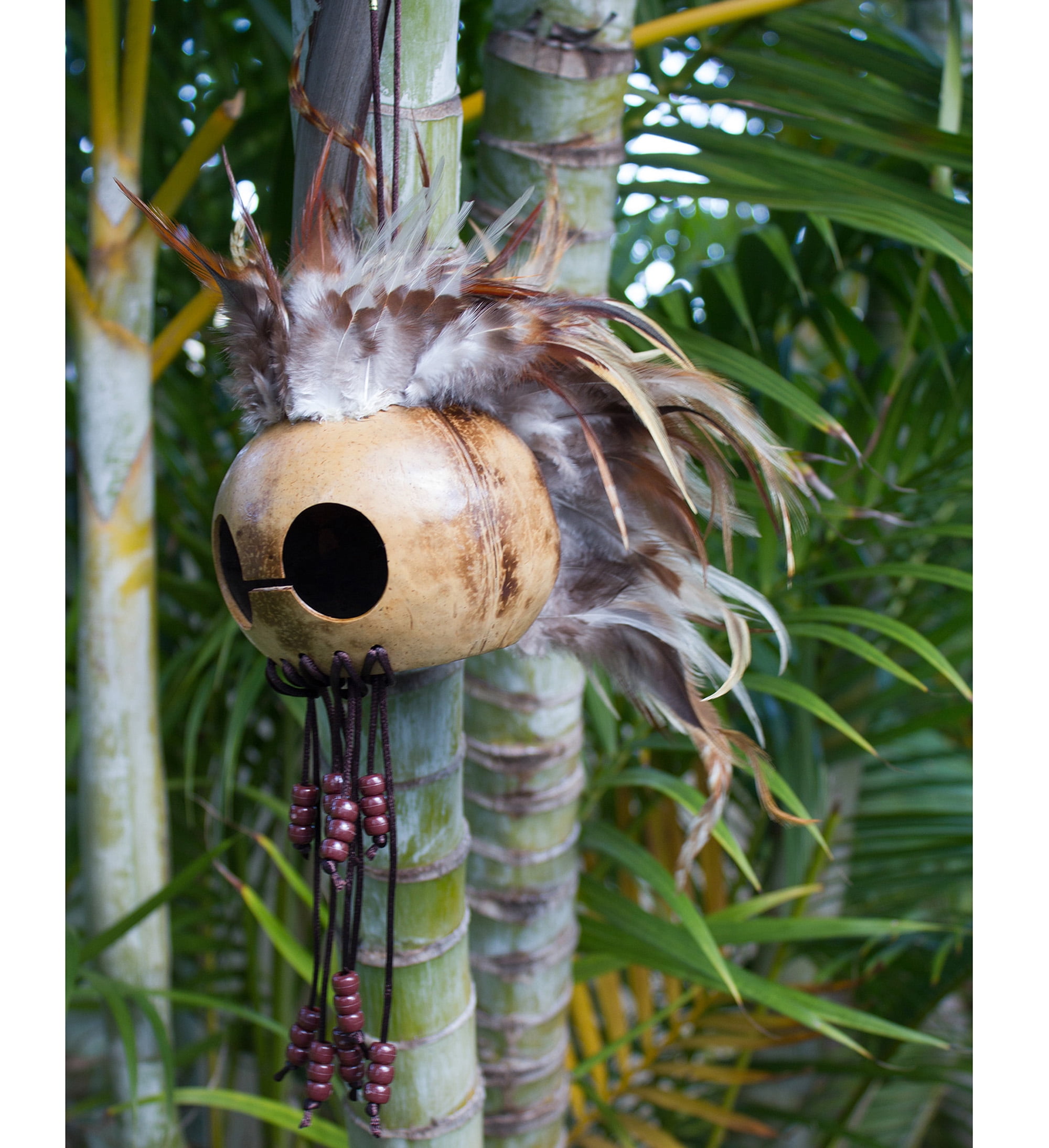 Large Hawaiian Warrior Ikaika Makaki'i Mask Coconut Shell Feather ...