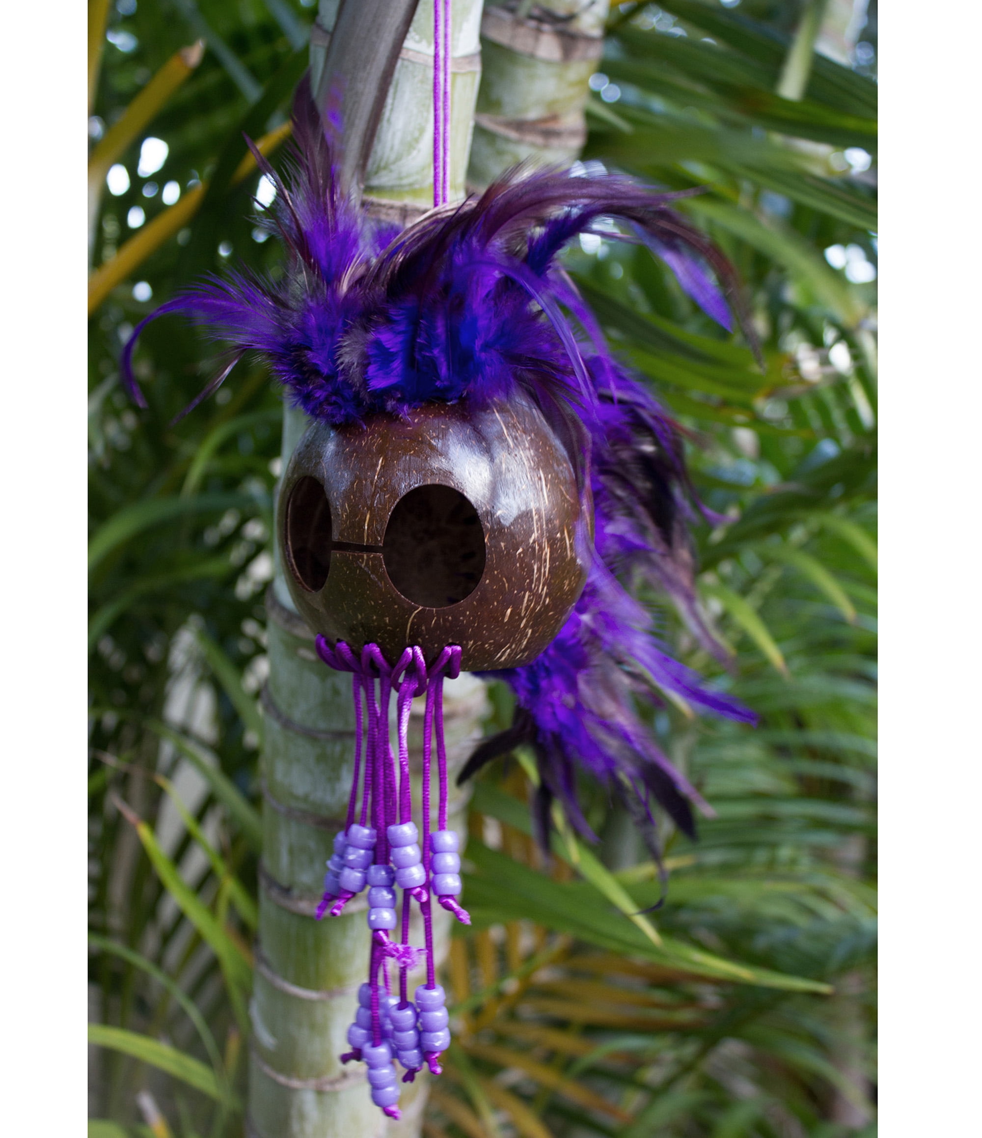 Large Hawaiian Warrior Ikaika Makaki'i Mask Coconut Shell Feather ...
