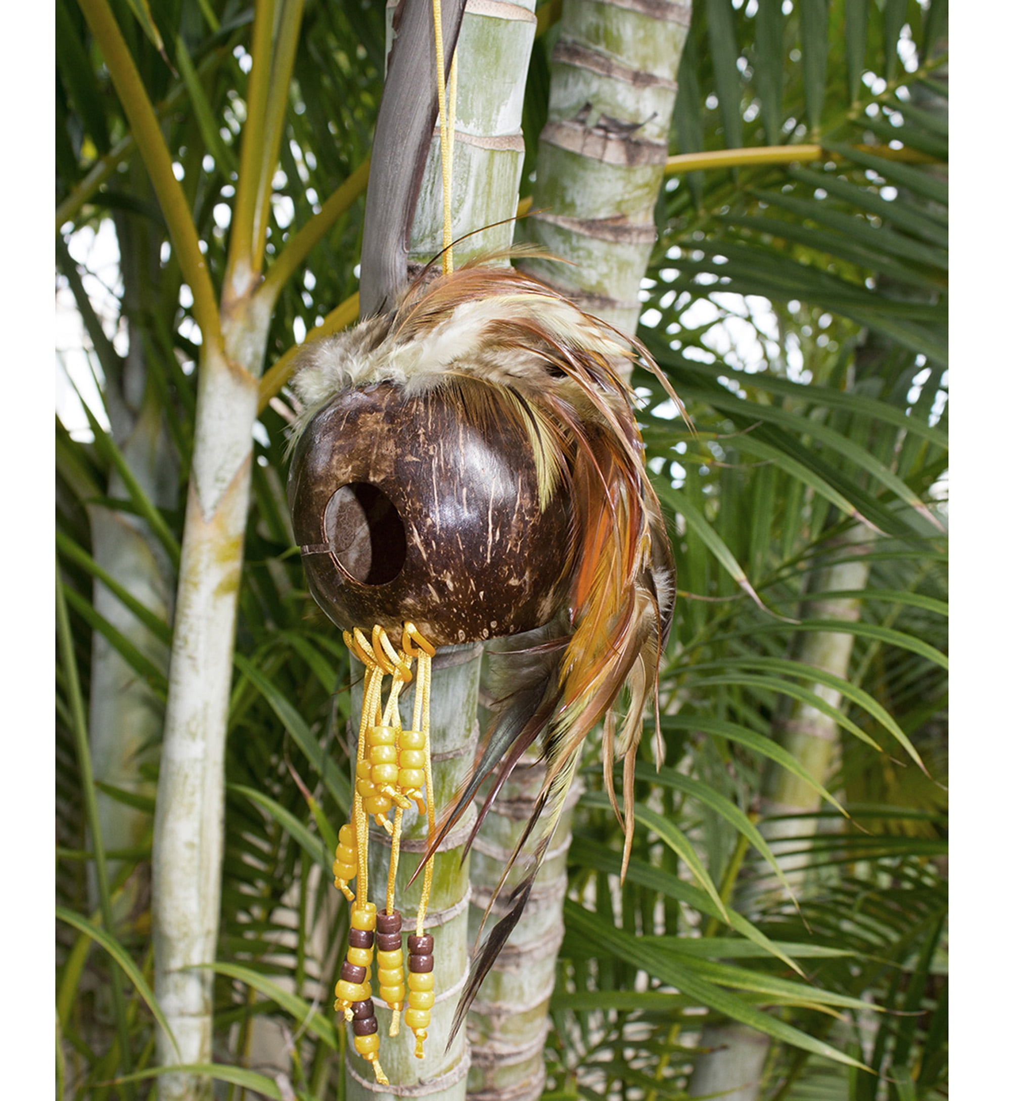 Large Hawaiian Warrior Ikaika Makaki'i Mask Coconut Shell Feather ...