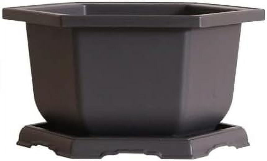 Large Hexagonal and Drip Tray - 11 inch Container with Tray (1 ...