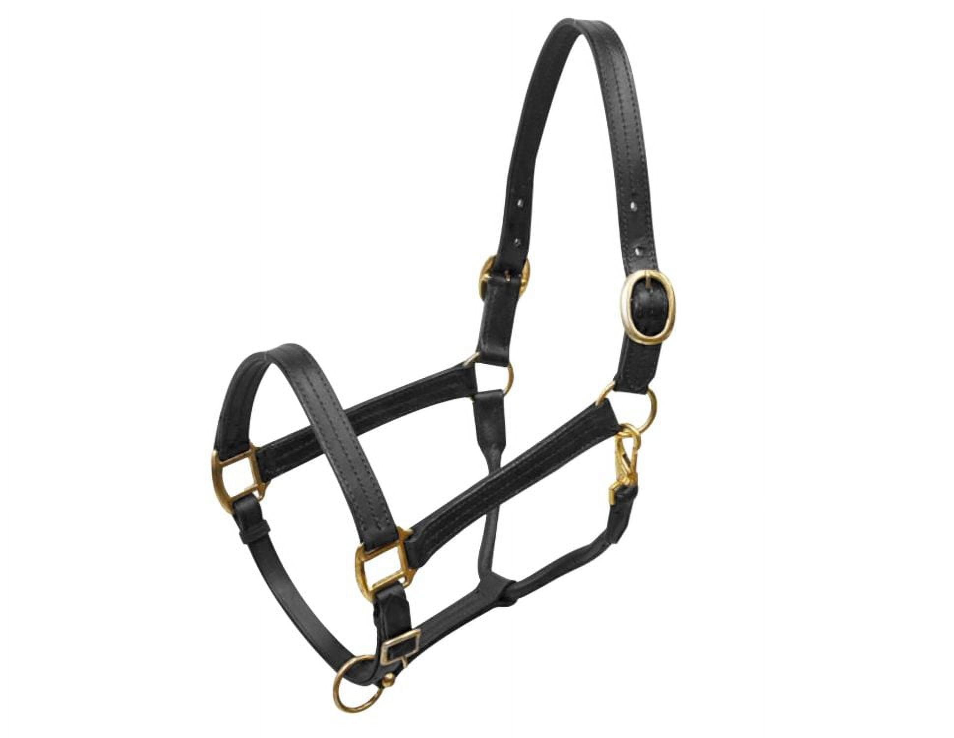Large Horse Leather Halter w/ Brass Hardware - Walmart.com
