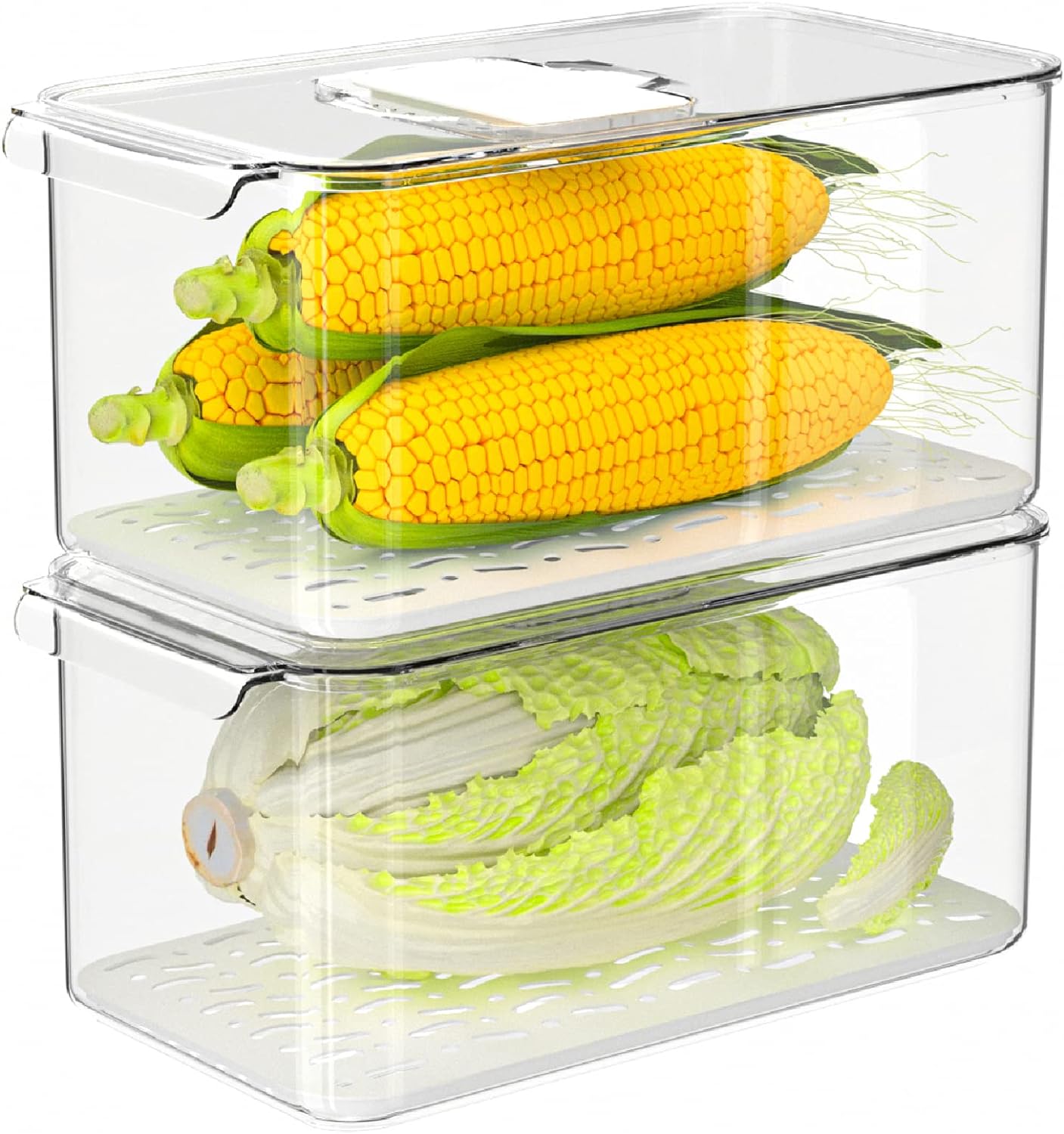 Large Lettuce Keeper Crisper, Vegetable Salad Storage Containers for ...