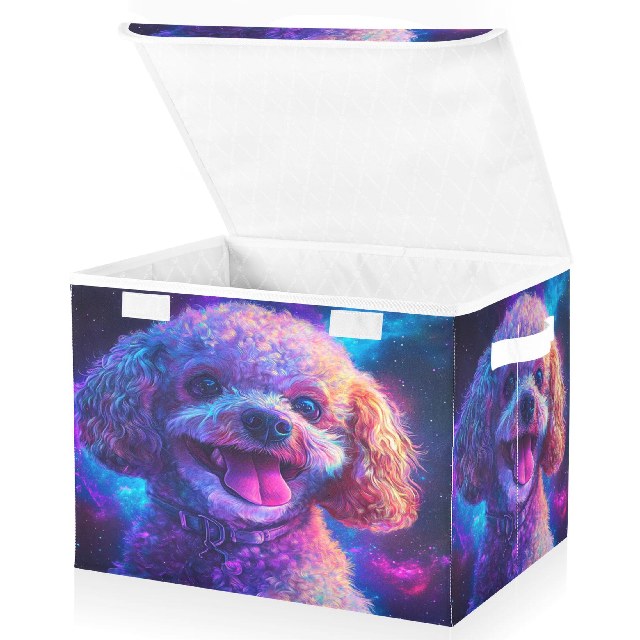 Large Lidded Bin Foldable Storage Baskets Boxes Cubes Lids with 2 ...