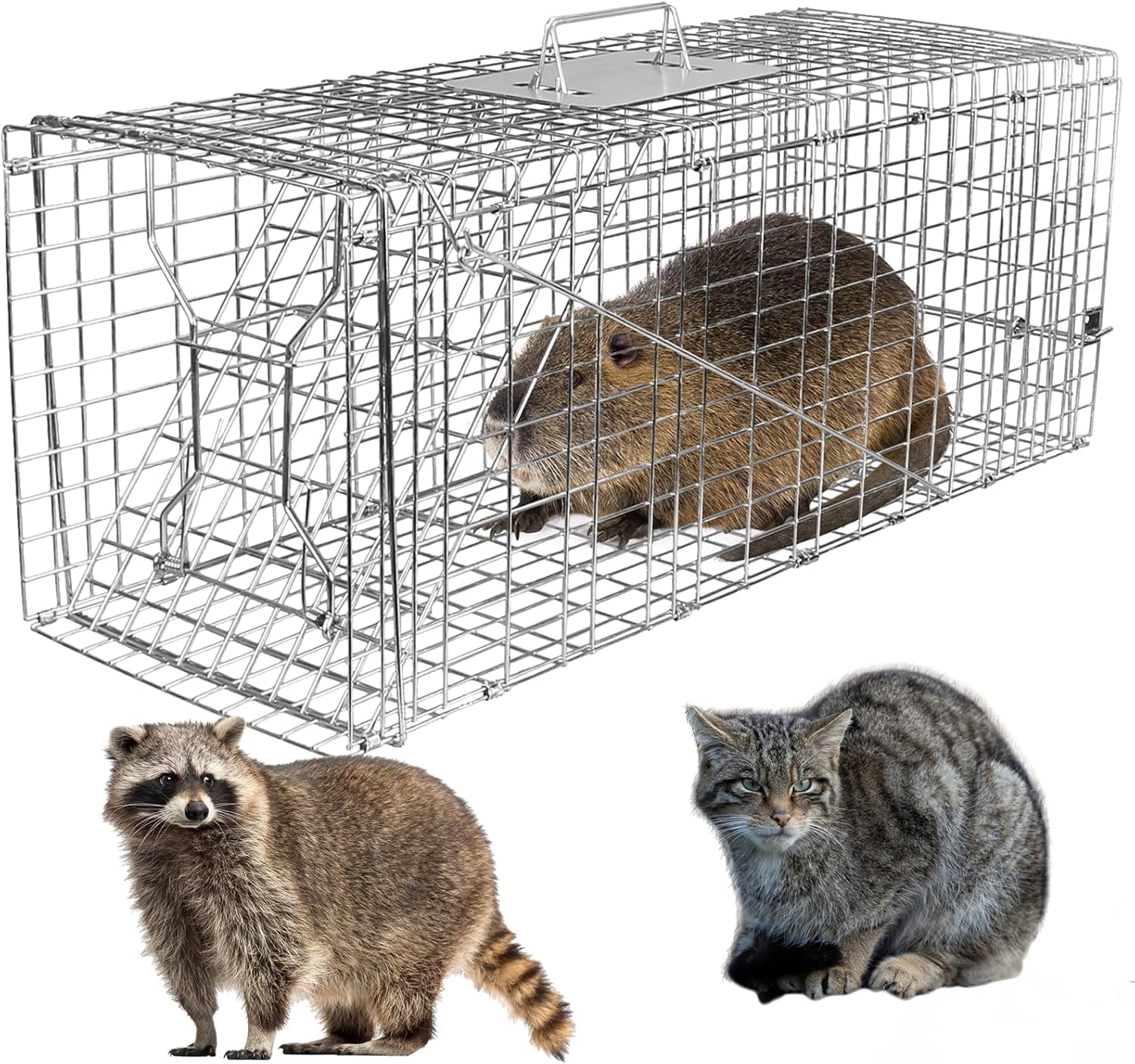 Large Live Animal Cage Trap, 30.5x11.8x11Inches Humane Cat Trap for ...