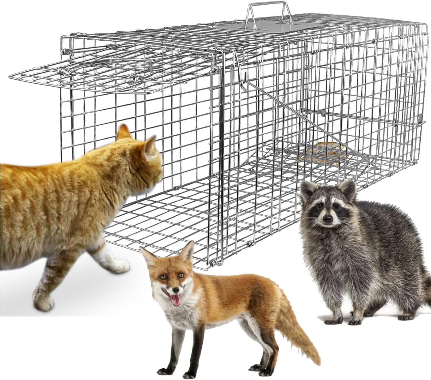 Large Live Animal Cage Trap, 32"x12.5"x12" Collapsible Humane Live ...