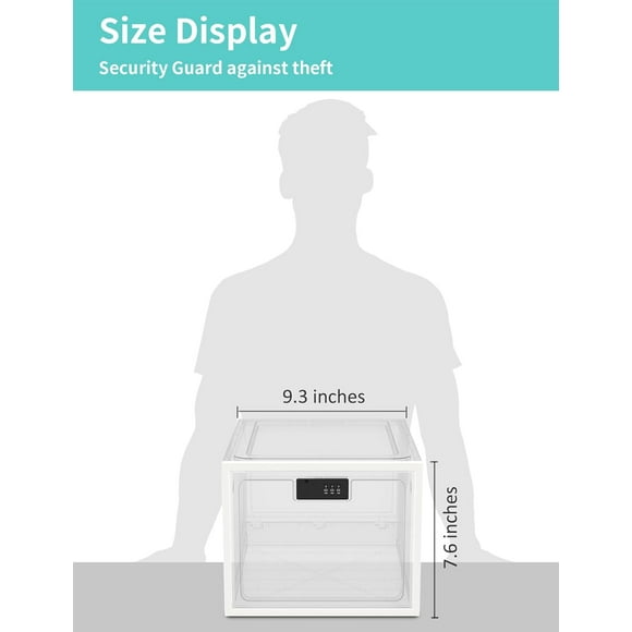 Refrigerator Lock Box