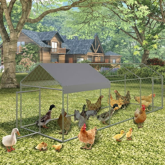 Large Metal Chicken Coop, 19.7x9.8x6.6FT Chicken Runs for Yard with ...