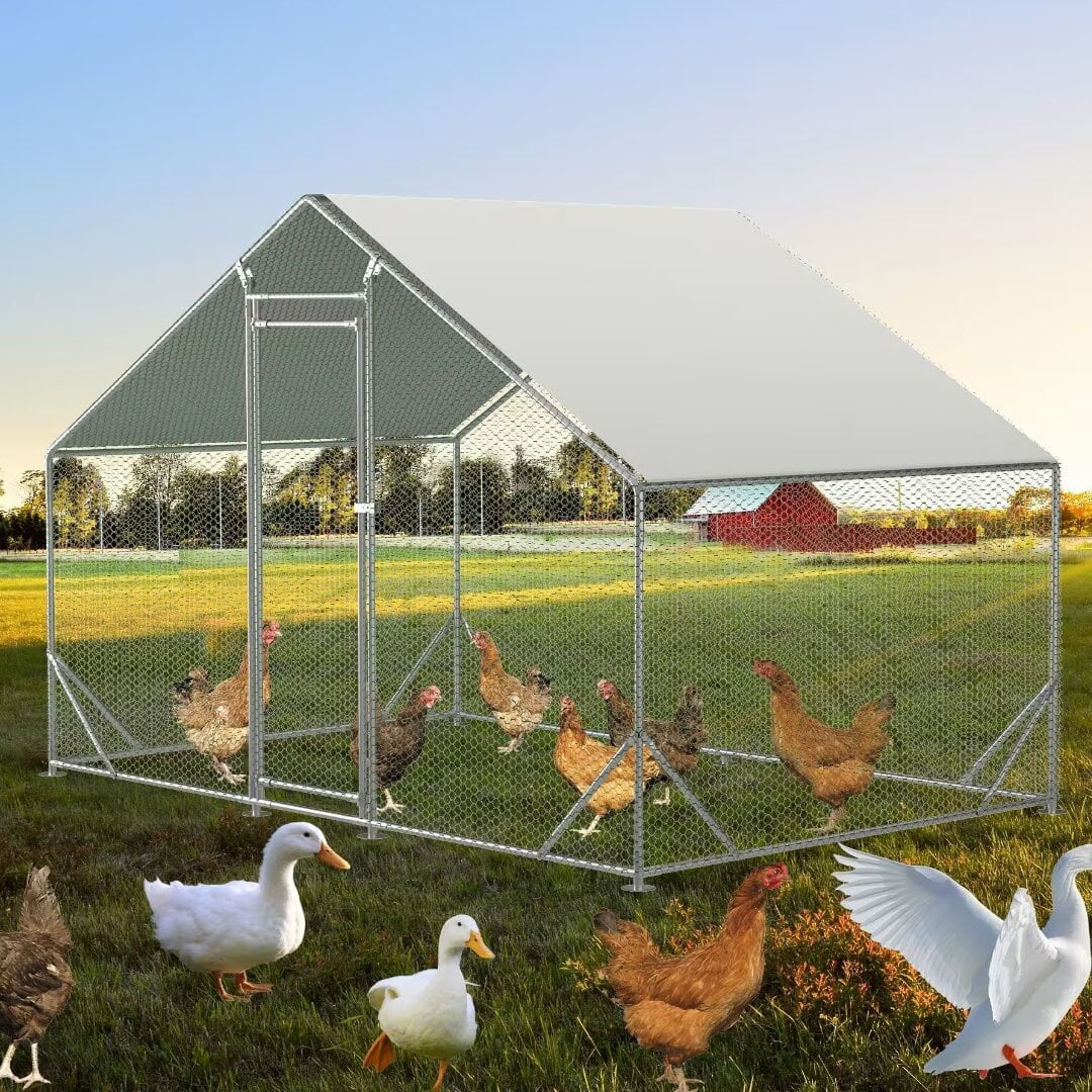 Large Metal Chicken Coop 6.6x9.8x6.6 ft Chicken Cage Hen House Poultry ...